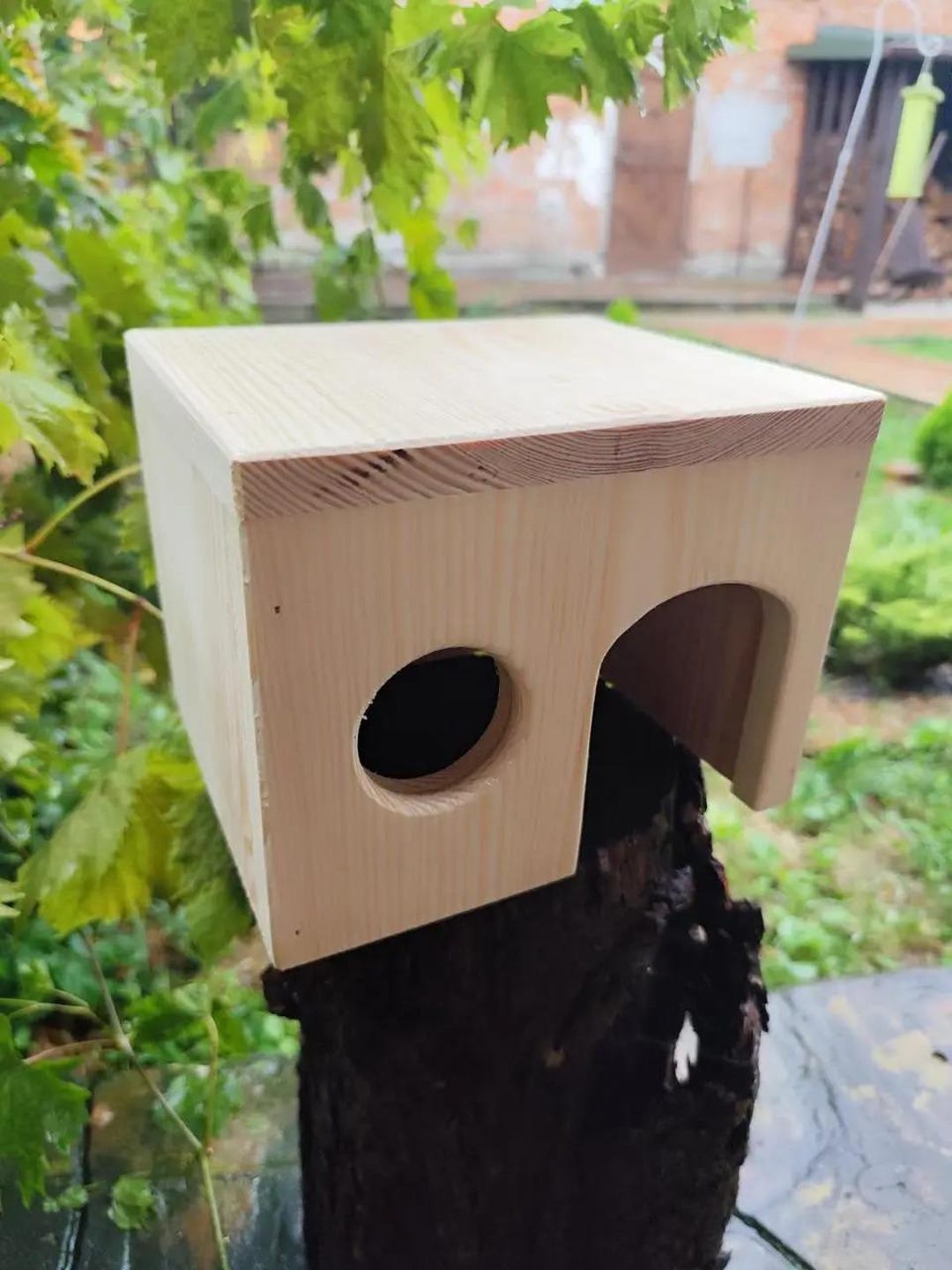 Cozy Wooden House for Small Pets | Natural Rodent Hideaway & Habitat ...