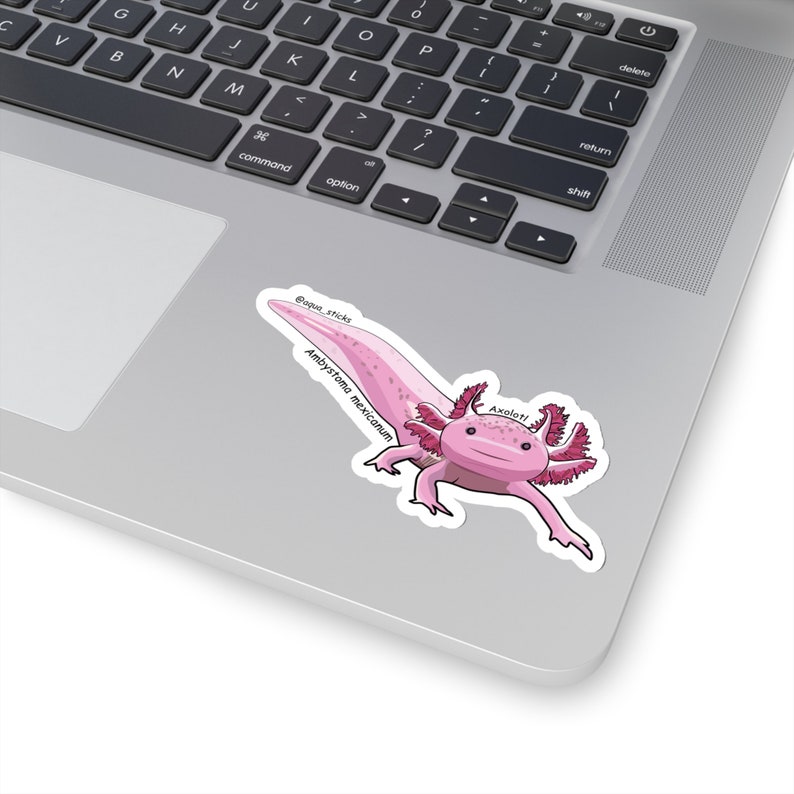 Axolotl - Vinyl Sticker - Etsy