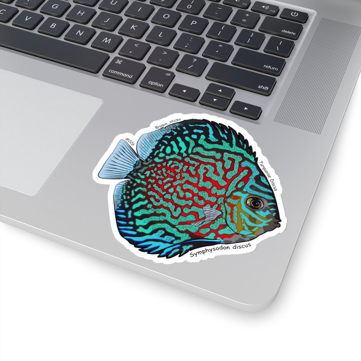 Turquoise Discus - Vinyl Fish Sticker - Etsy
