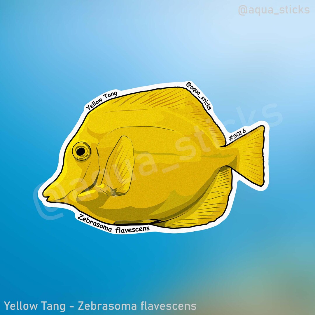 Yellow Tang - Vinyl Fish Sticker - Etsy