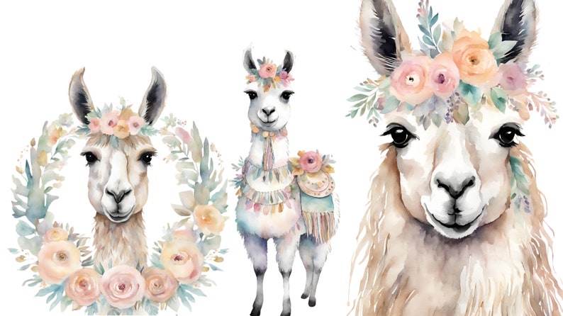 Boho Llama Watercolor Clipart Set, 16 PNG Images, Neutral Soft Color ...