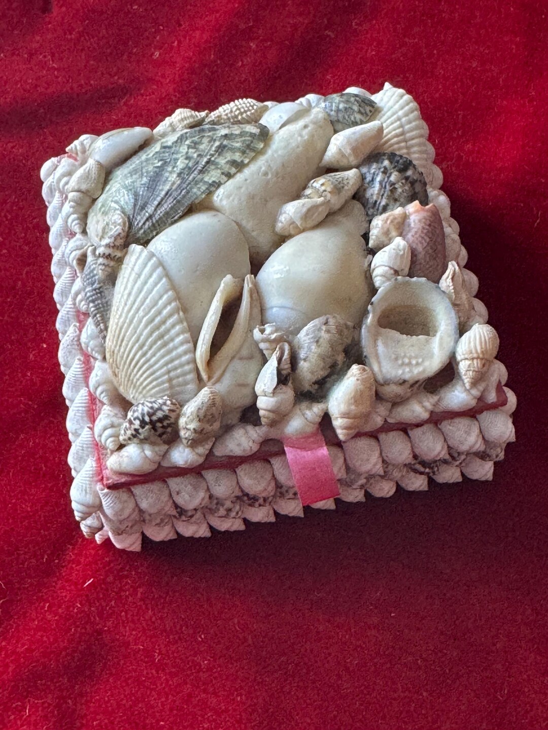 Seashell Jewelry Box Vintage Seashell Trinket Box With Lid Vanity ...