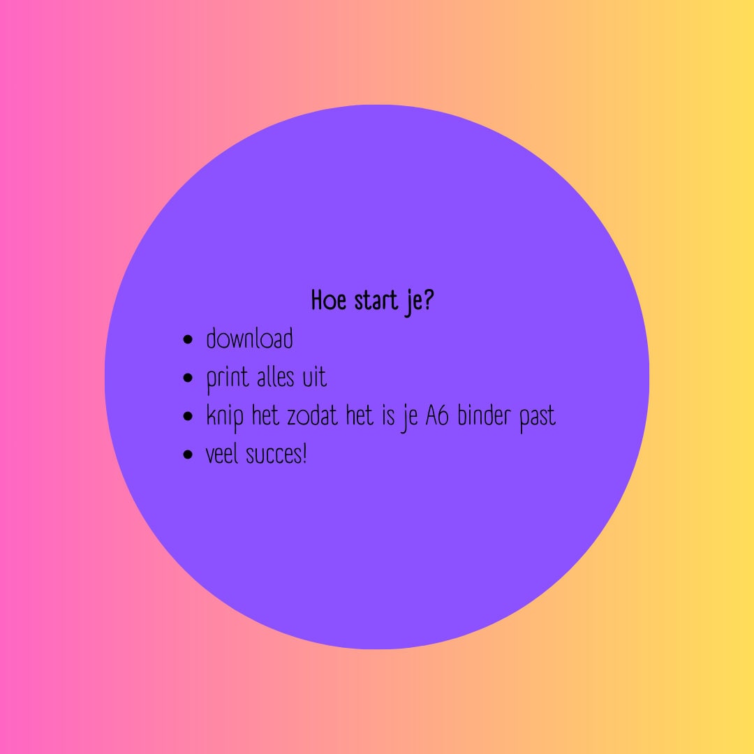 Digital 12 Maanden spaar challenge voor A6 Budget binder. Cashstuffing ...