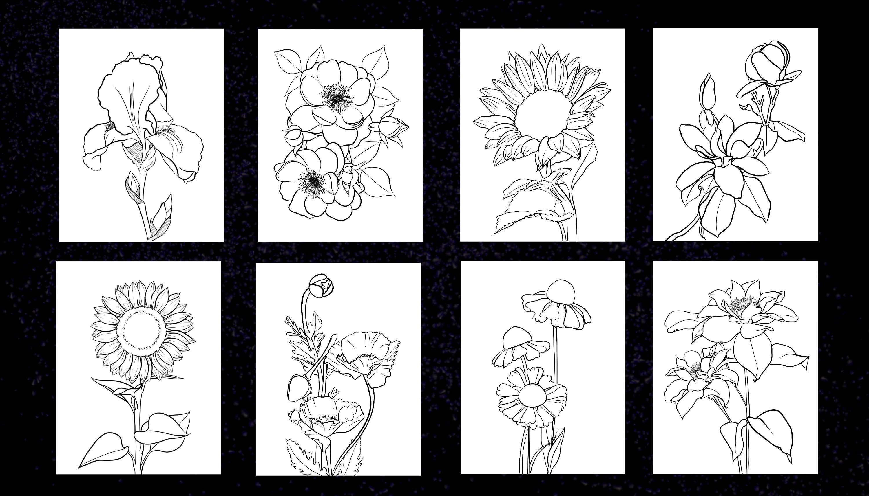 Flowers, Set of Printable Coloring Pages, 16 Flower Coloring Pages ...