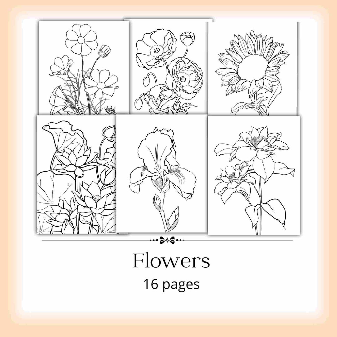 Flowers, Set of Printable Coloring Pages, 16 Flower Coloring Pages ...
