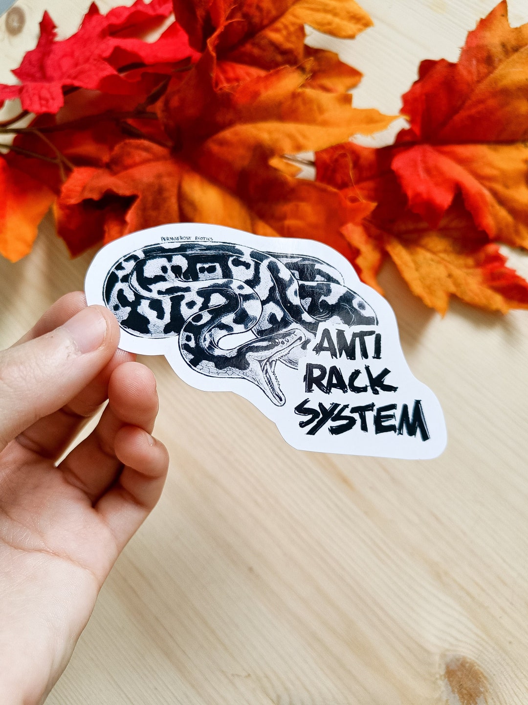 Anti Rack System Ball Python Snake Sticker Glossy - Etsy