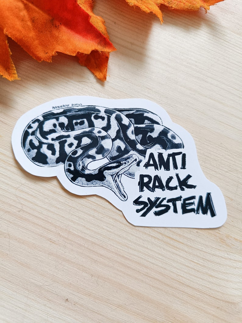 Anti Rack System Ball Python Snake Sticker Glossy - Etsy