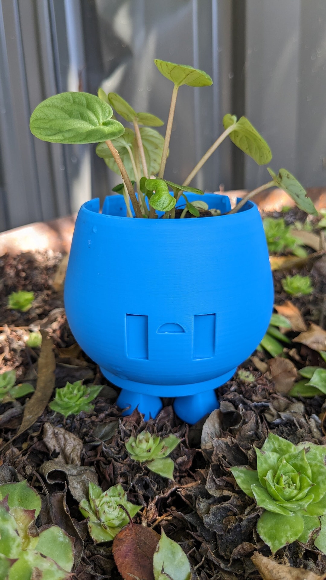 Crying Desk Planter Cute Planter Gift for Friend - Etsy