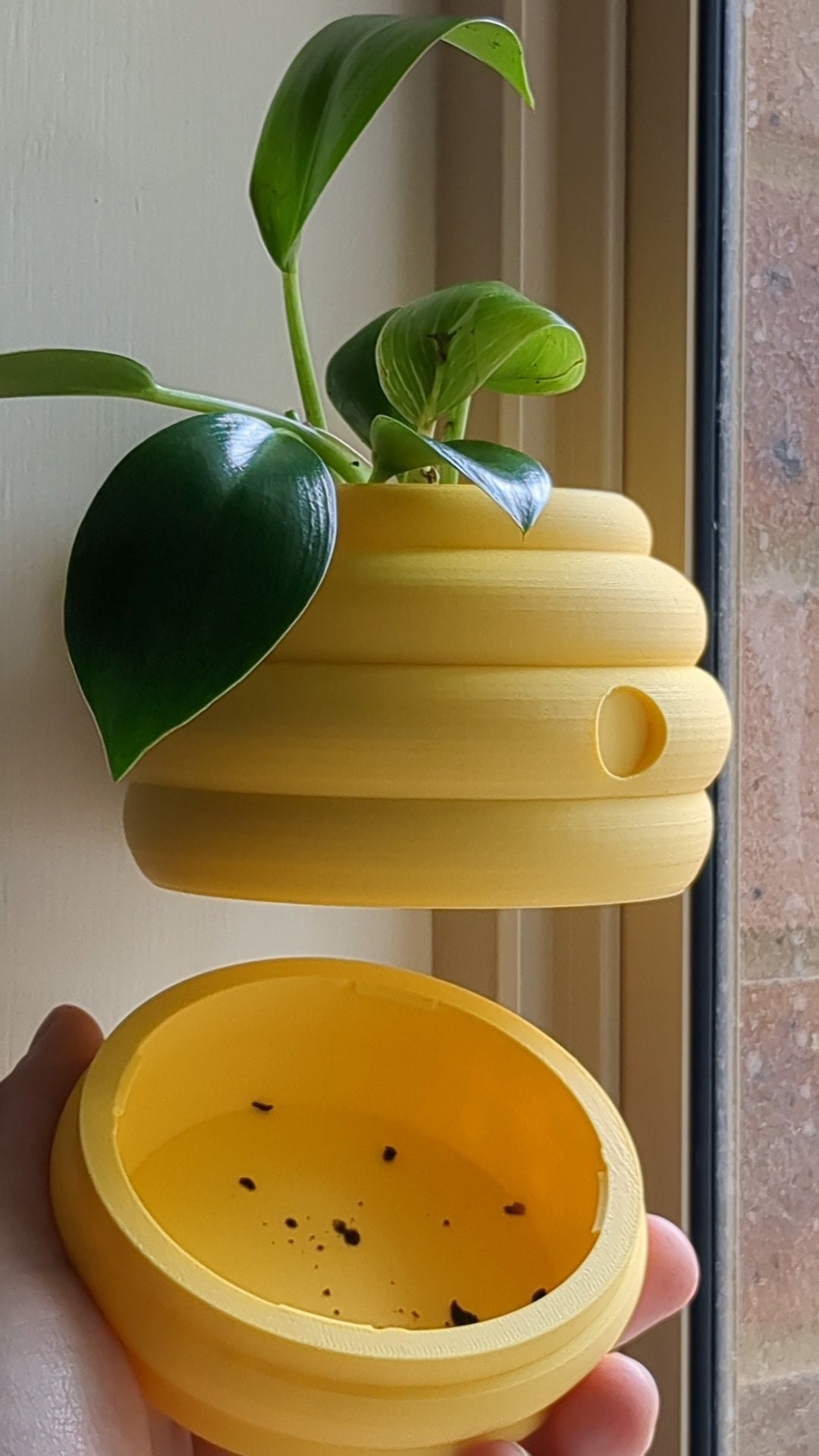 Beehive Wall Planter Gift Hanging Planter Cute Planter Gift - Etsy