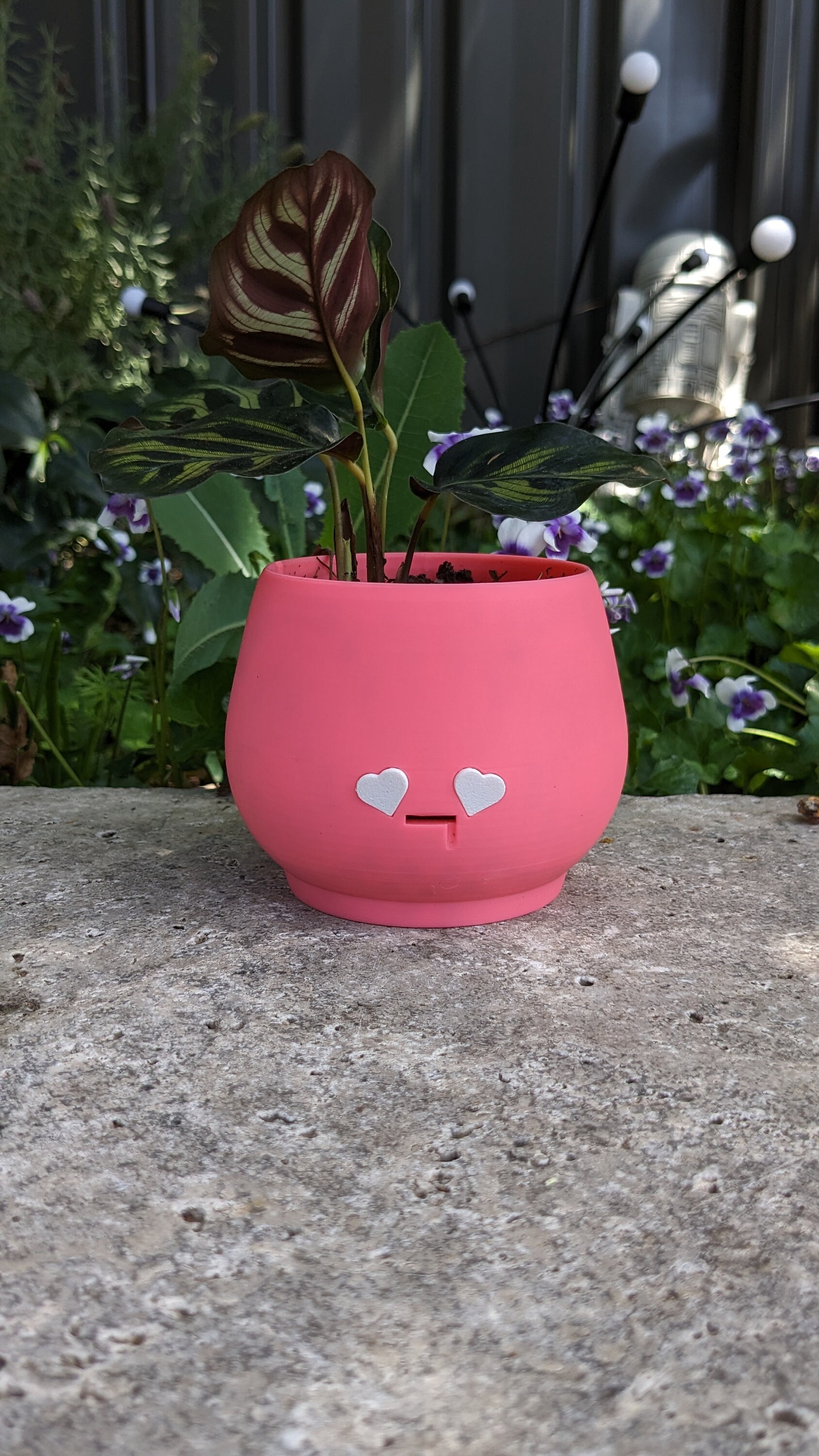 Valentines Day Planter Cute Planter Gift for Valentines Day Gift for ...