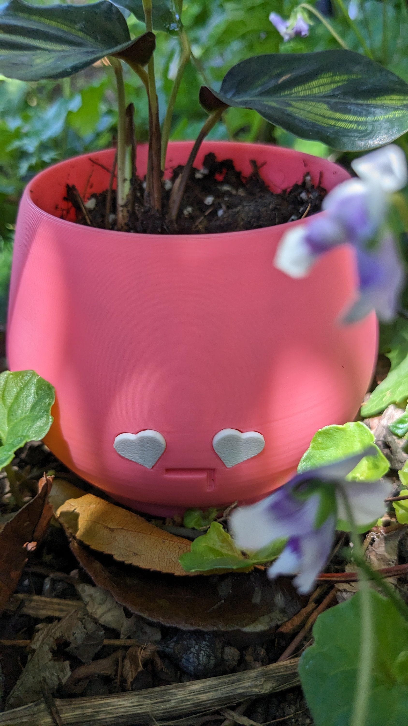 Valentines Day Planter Cute Planter Gift for Valentines Day Gift for ...