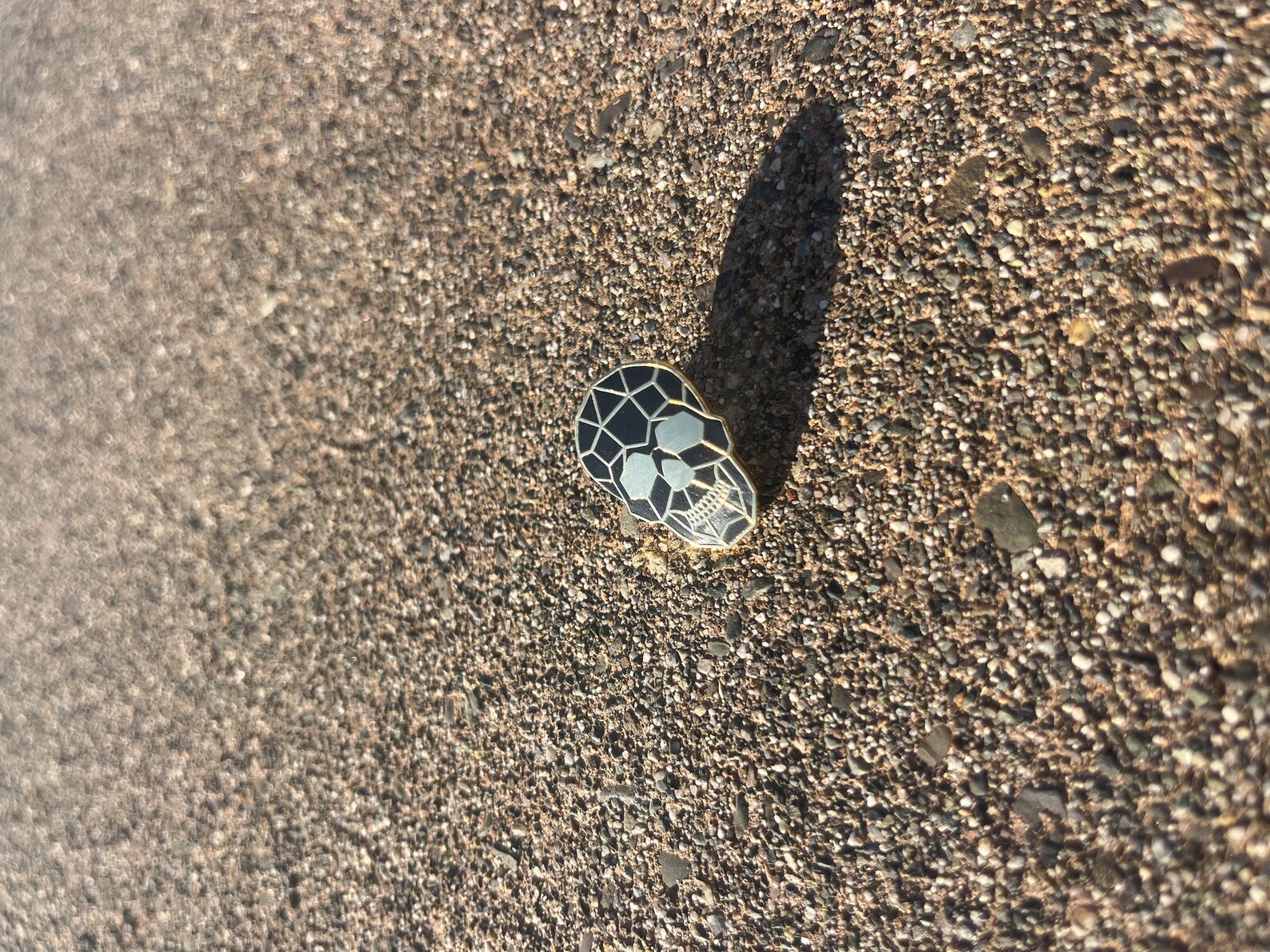 Skull Anatomy Enamel Lapel Pin and Magnet - Multicolored, Black or Grey ...