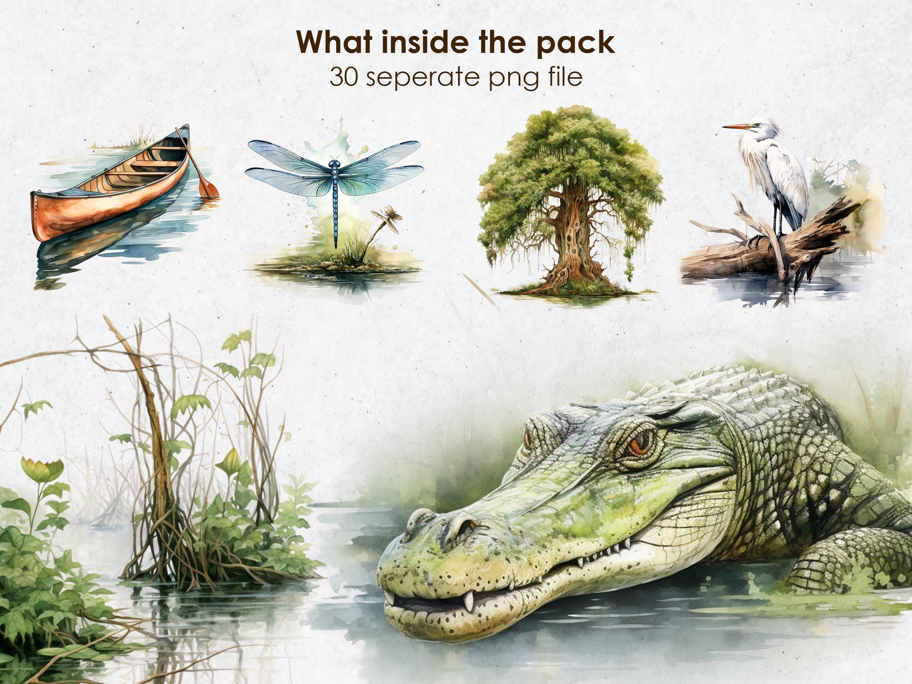 Watercolor Swamp Clipart Transparent Background Png,amazon Green Nature ...