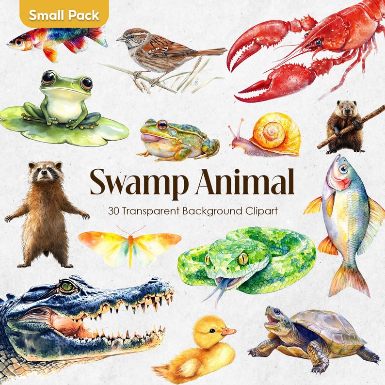 Swamp Animal PNG Watercolor Clipart ,alligator Lobster Fish Snake Duck ...