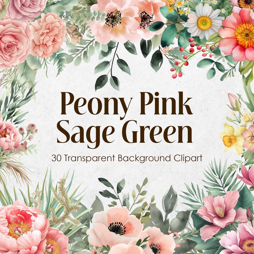 Peony Pink and Sage Green Flowers Watercolor Clipart Set,soft Blush ...