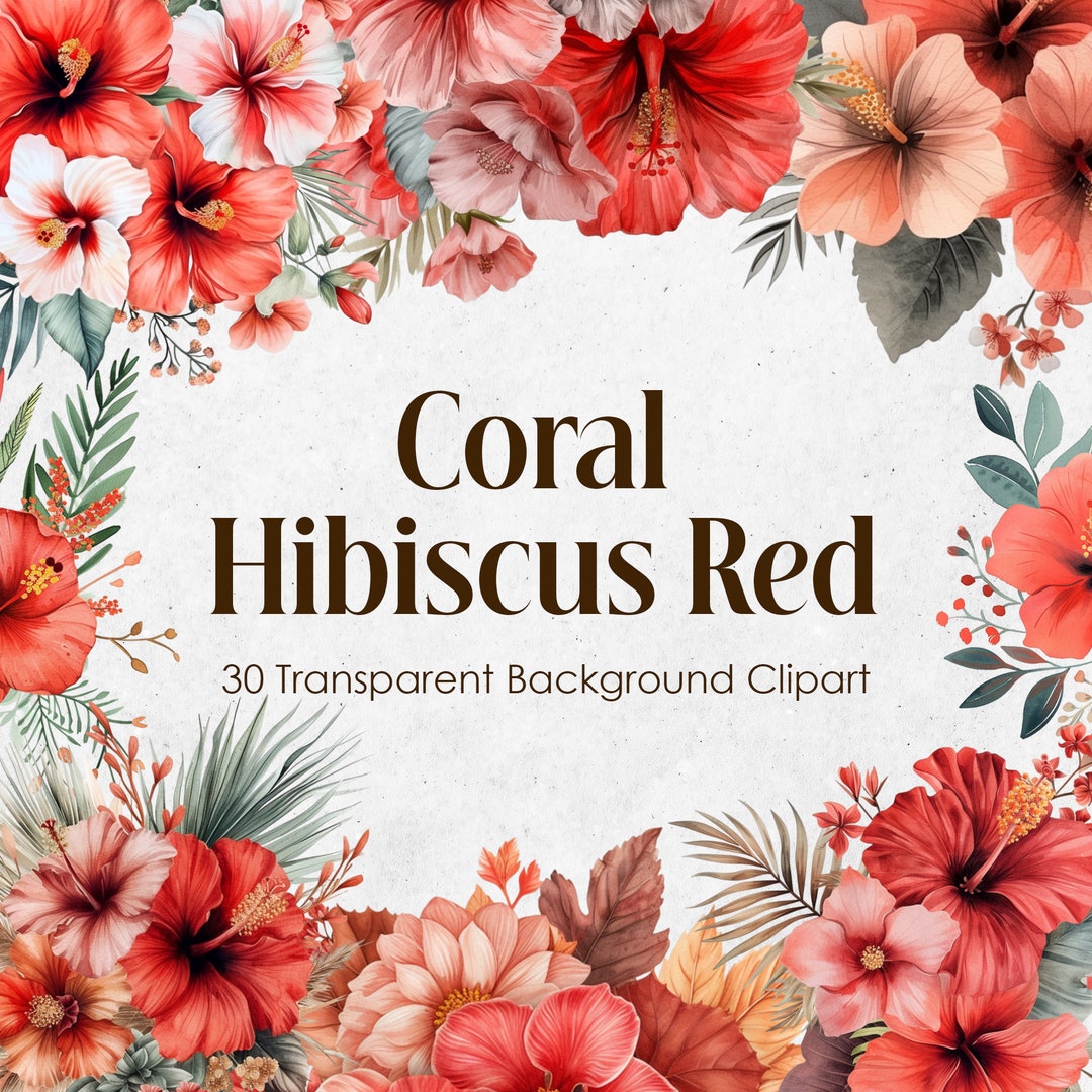 Coral and Red Flowers Watercolor Clipart Set,burgundy Soft Roses Floral ...