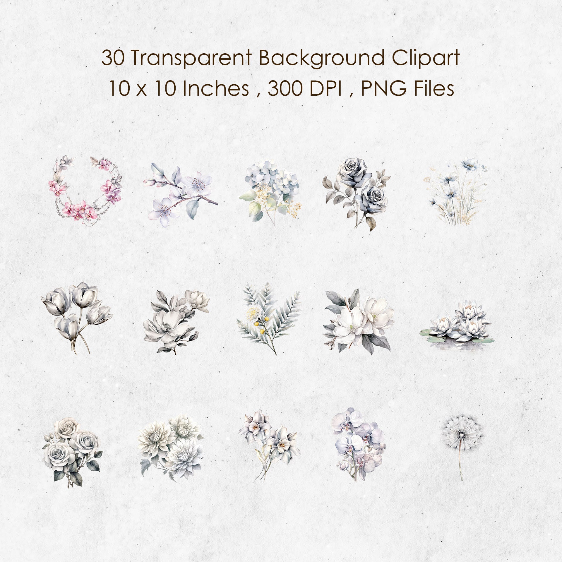 Silver Floral PNG Transparent Background,watercolor Clipart Bouquets ...