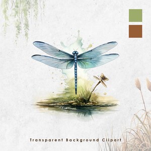 Watercolor Swamp Clipart Transparent Background Png,amazon Green Nature ...