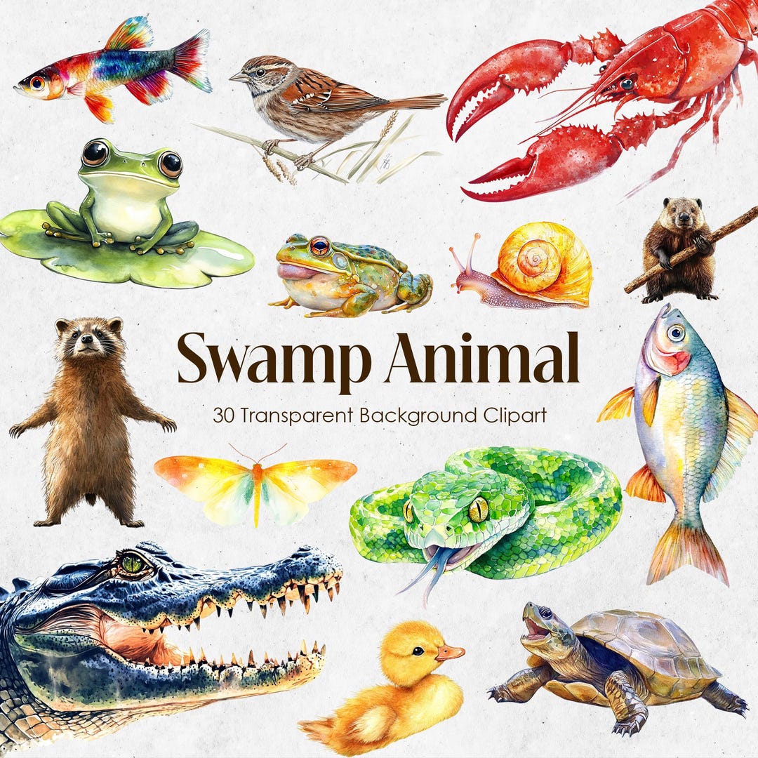 Watercolor Swamp Animal Clipart Transparent Background Png,green ...