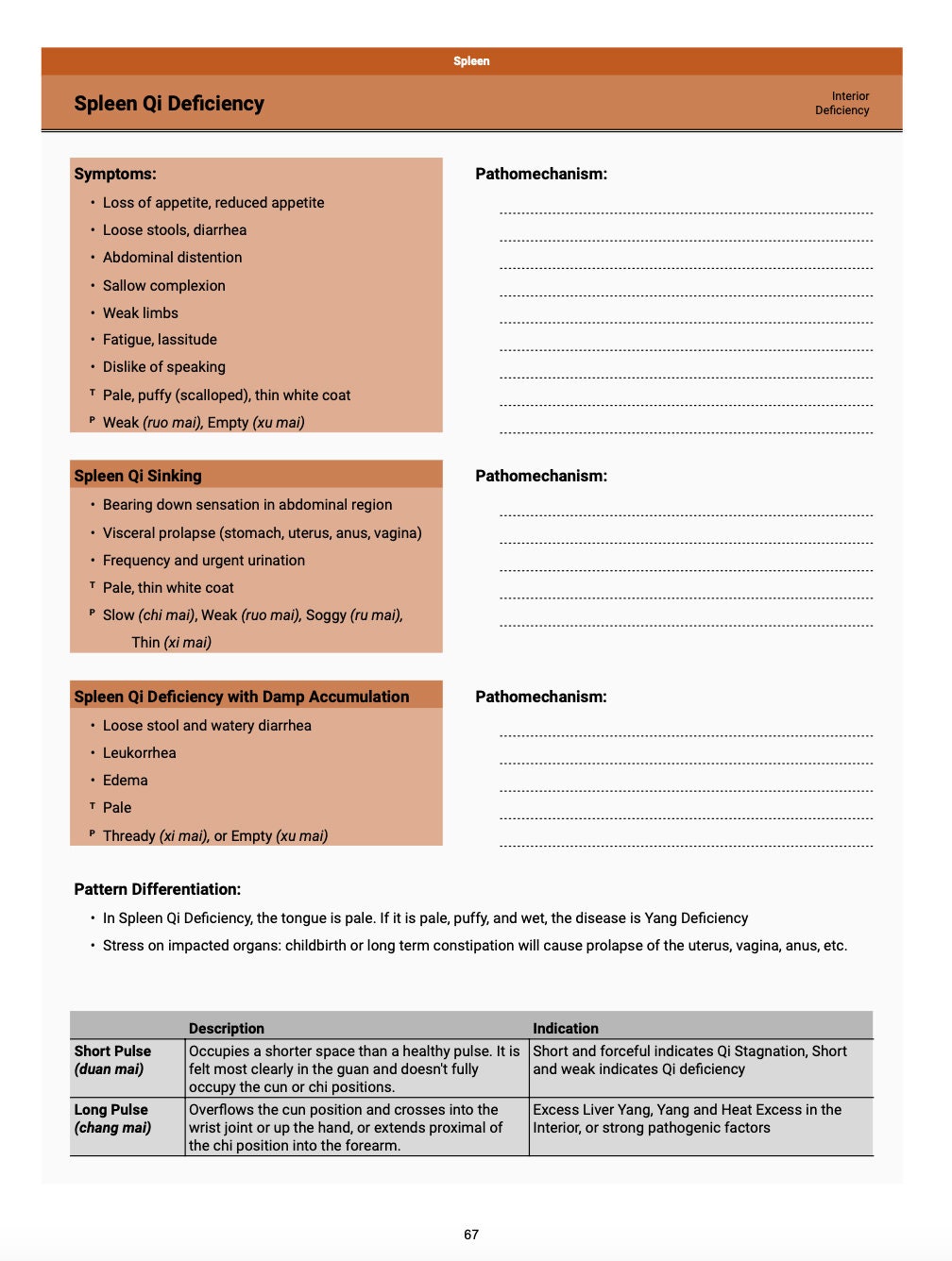 Zang Fu Diagnosis Workbook (TCM Chinese Medicine Foundations ...