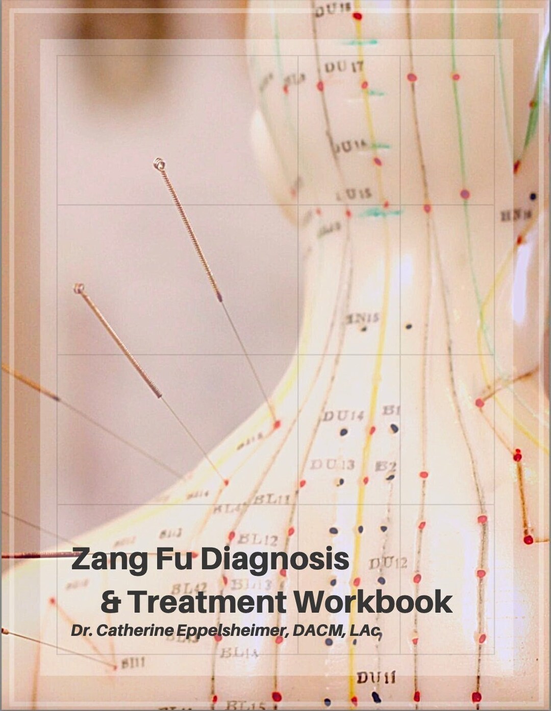 Zang Fu Diagnosis Workbook (TCM Chinese Medicine Foundations ...