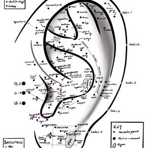 Auricular Acupuncture Chart (digital Download) - Etsy Canada