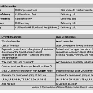 Zang Fu Diagnosis — Liver Patterns (TCM, Acupuncture, Chinese Medicine ...