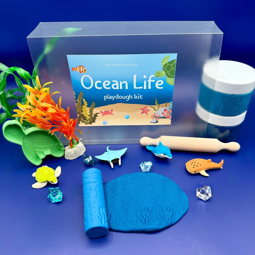 Ocean Playdough Kit - Etsy