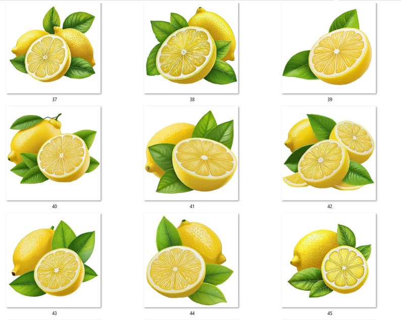 Squeeze Creativity: 55 Vibrant Lemon SVG + PNG+AI Designs – Freshen up ...