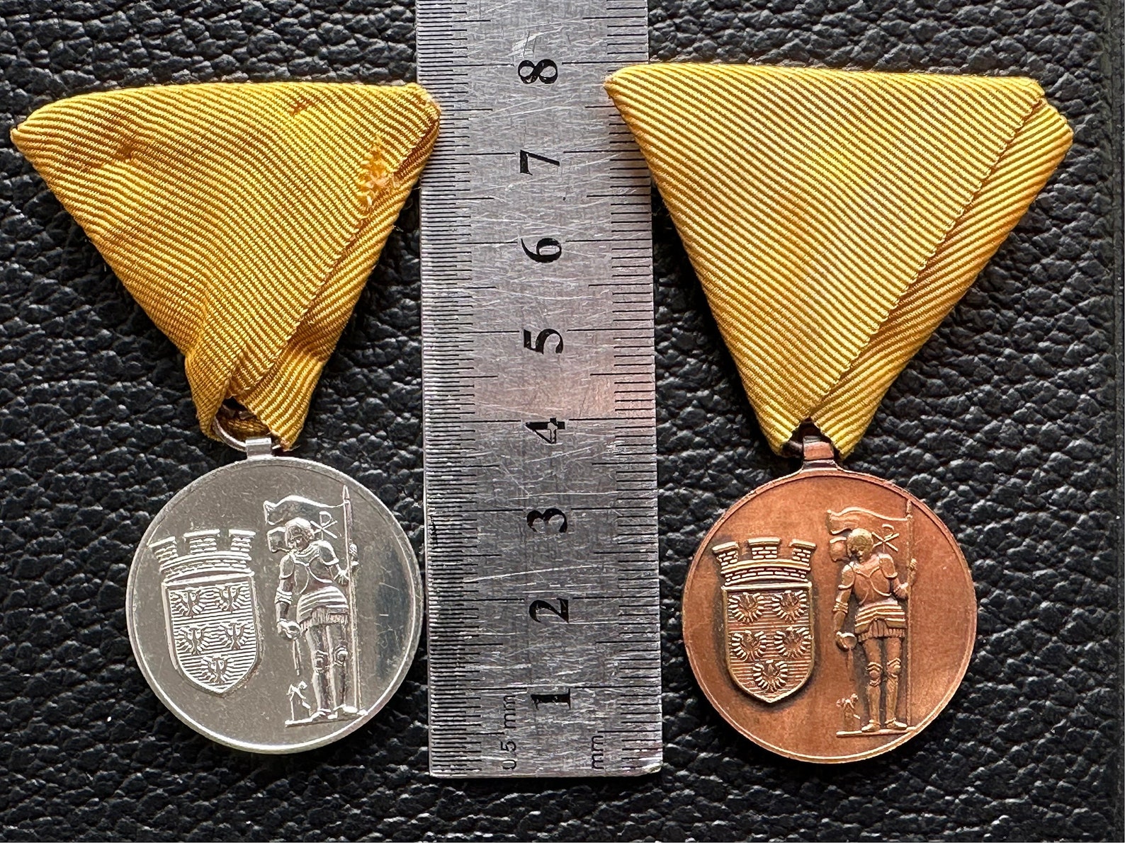 Two Medals “for Conscientious and Fruitful Work in the Field of Fire ...