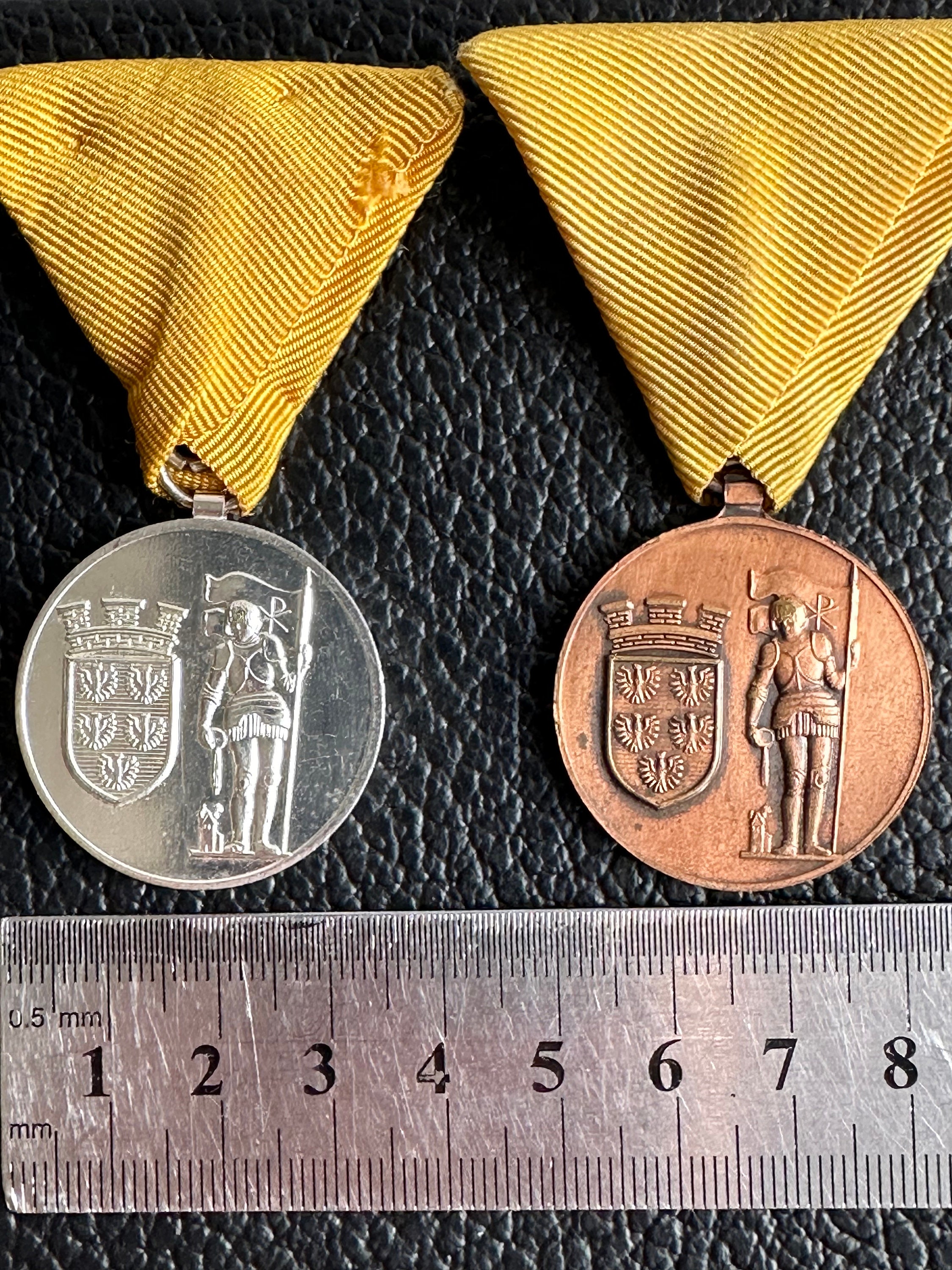 Two Medals “for Conscientious and Fruitful Work in the Field of Fire ...