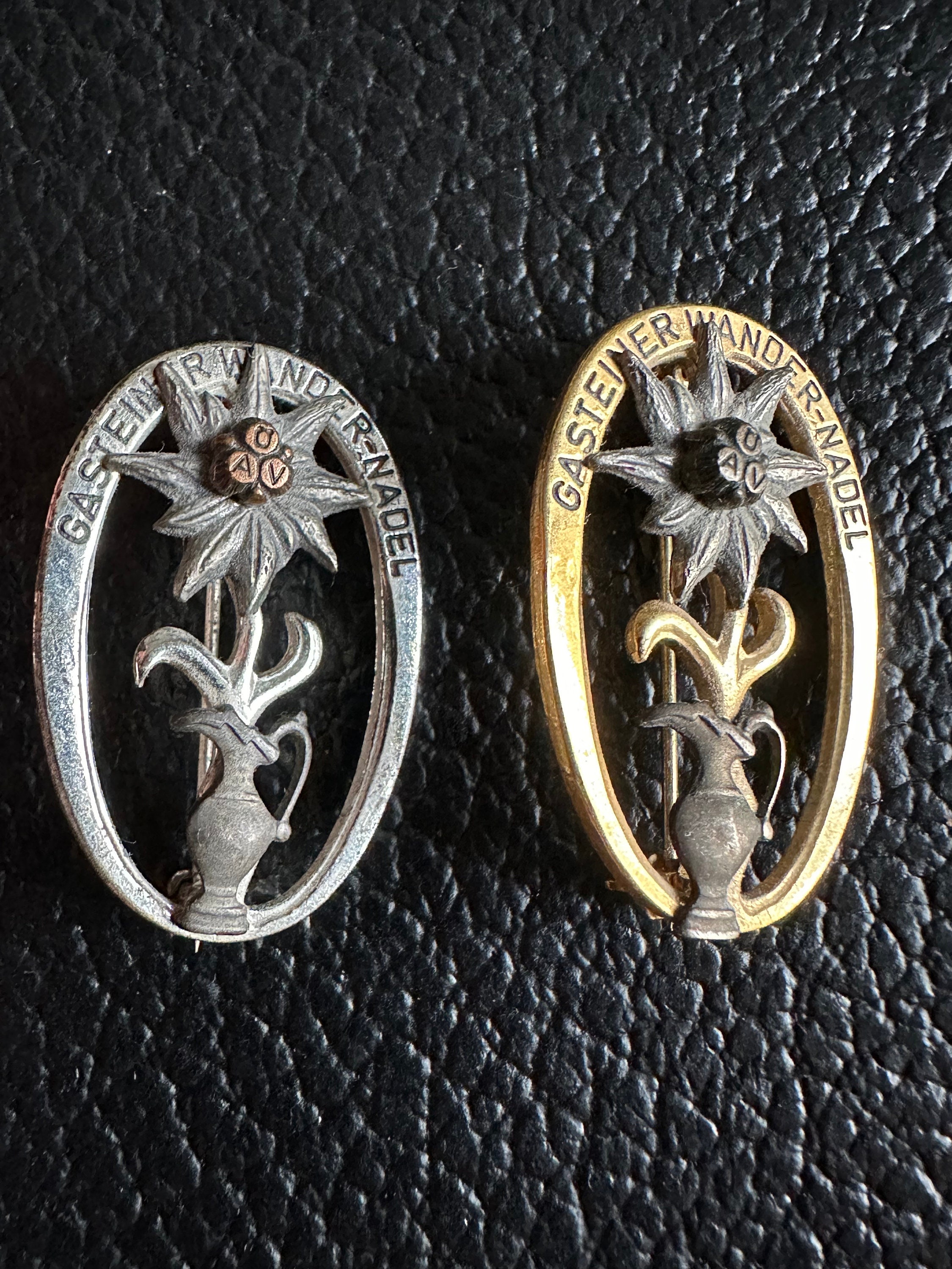 Two Vintage Badges Hiking Pins of the Tourist Vandernadel - Etsy