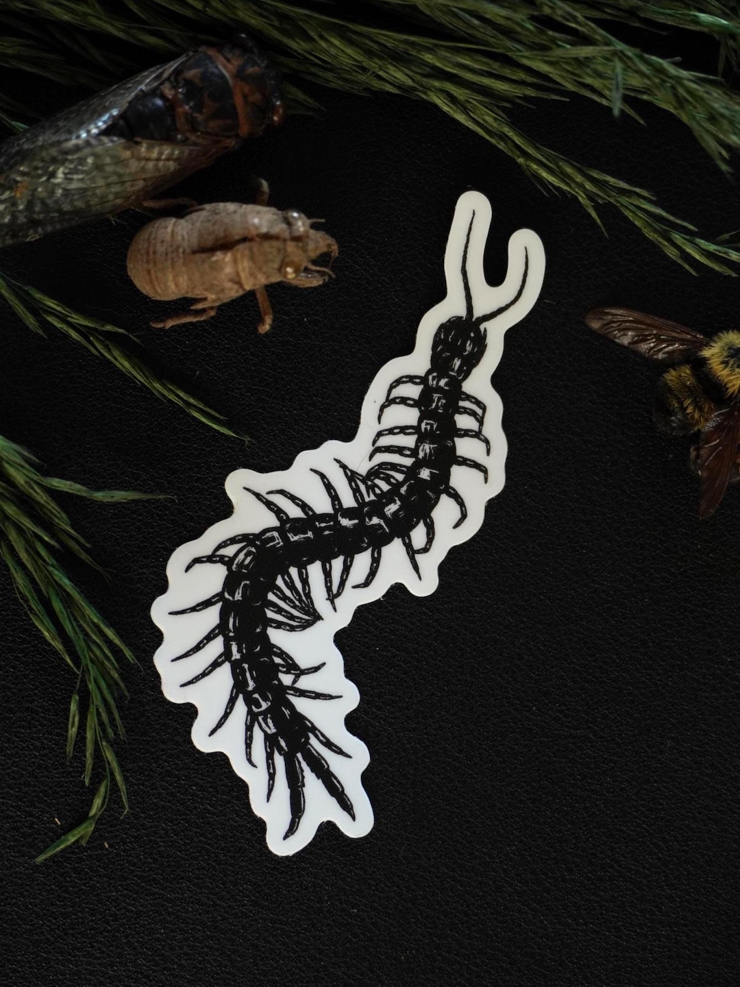 Centipede Sticker: Bug Art, Waterproof Vinyl - Etsy