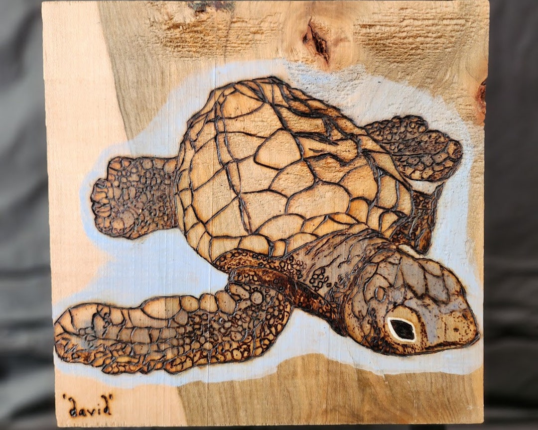 Sea Turtle Original Art Work on Wood, Hand Made Wood Burned (pyrography ...
