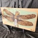 Dragonfly Wood Burned (pyrography), Hand Made, Solid Wood Slab, Hanging ...