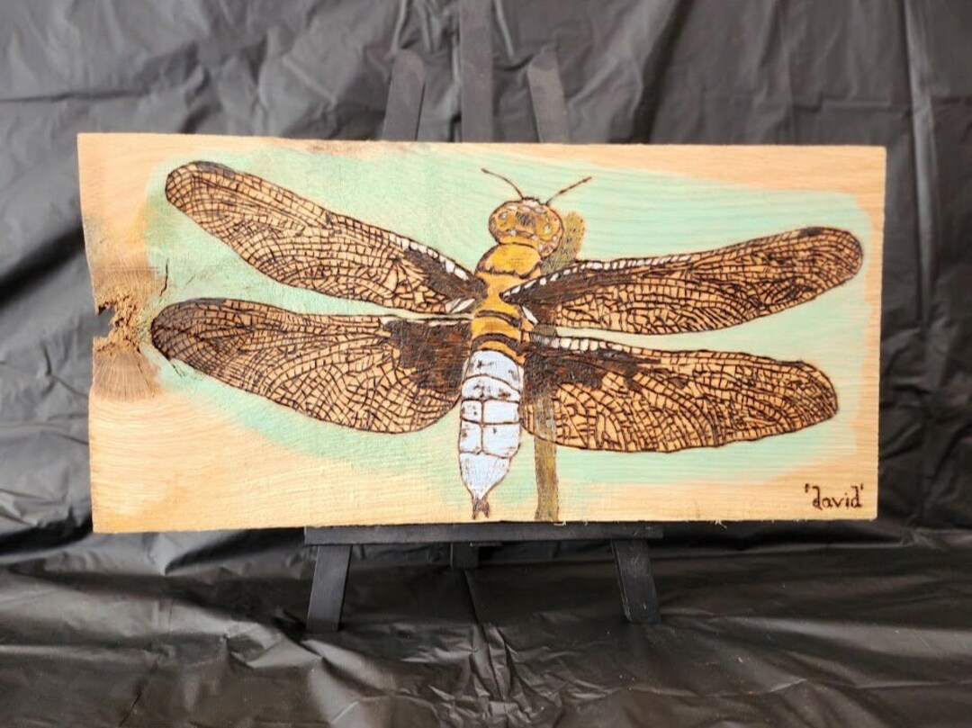 Dragonfly Wood Burned (pyrography), Hand Made, Solid Wood Slab, Hanging ...