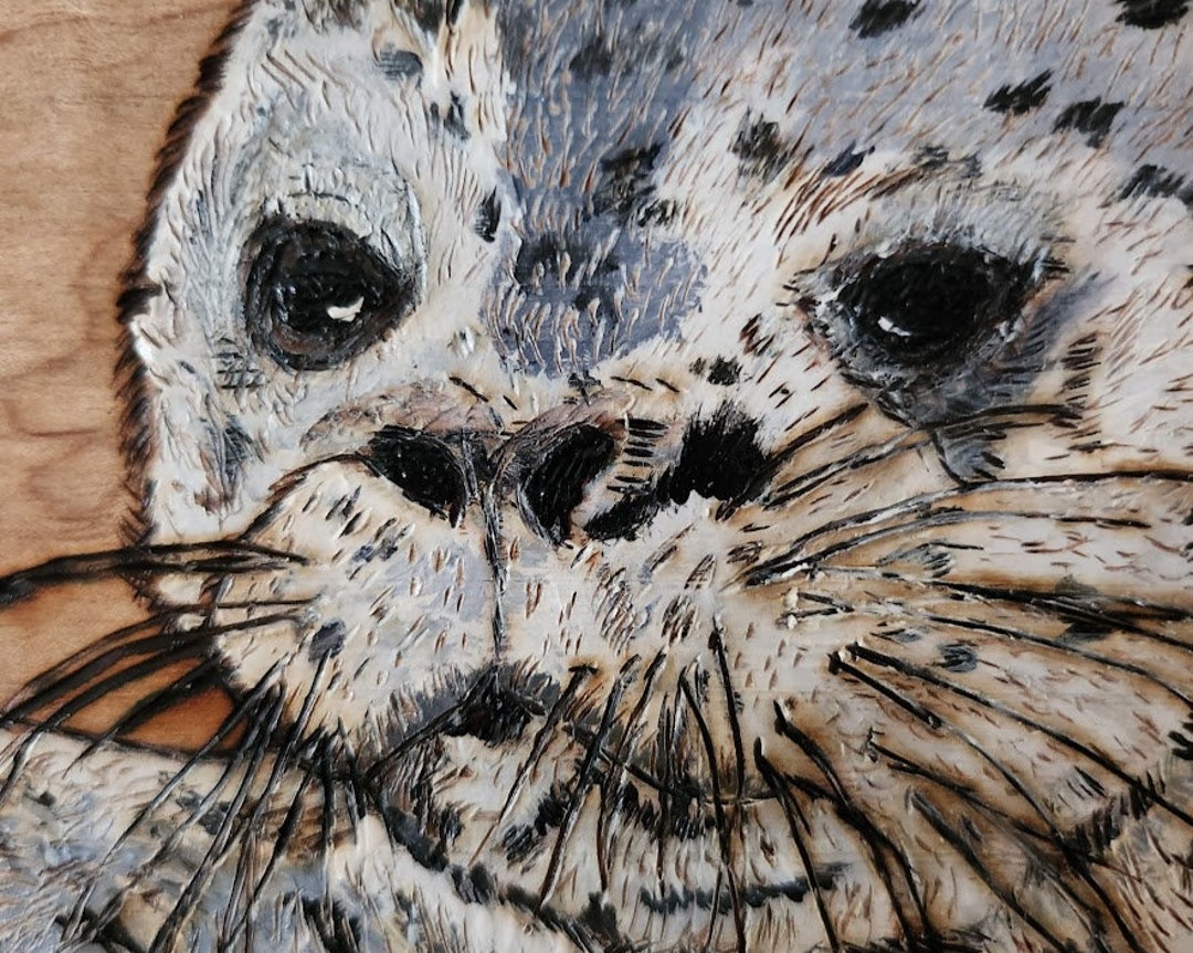 Baby Seal, Original Art Work on Solid Wood Slab, Handmade, Wood Burned ...