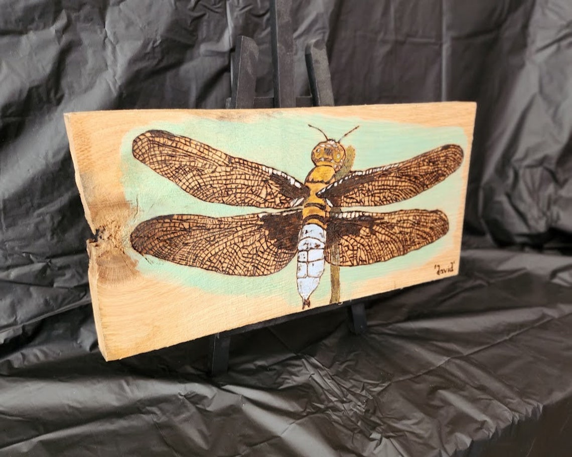 Dragonfly Wood Burned (pyrography), Hand Made, Solid Wood Slab, Hanging ...