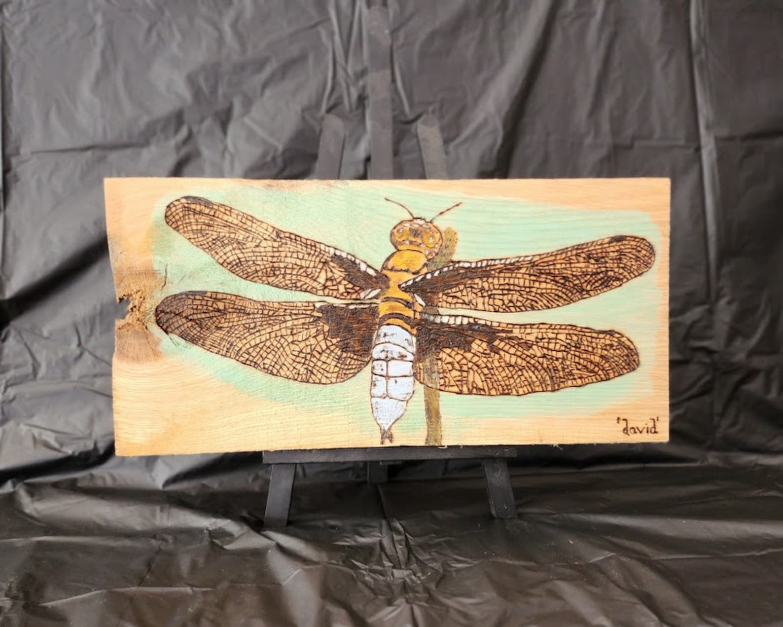 Dragonfly Wood Burned (pyrography), Hand Made, Solid Wood Slab, Hanging ...