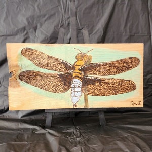 Dragonfly Wood Burned (pyrography), Hand Made, Solid Wood Slab, Hanging ...