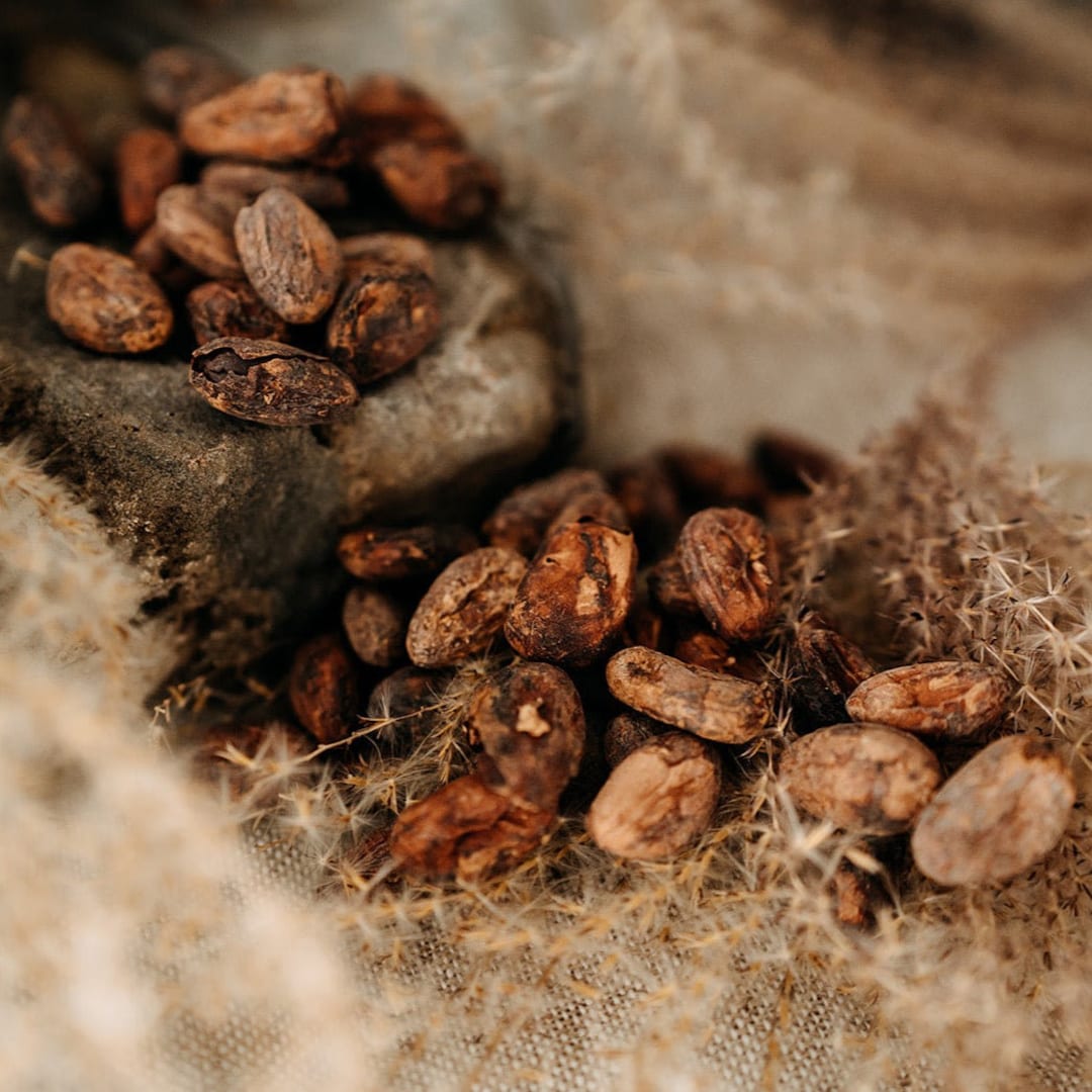 The Chuncho: Cocoa Beans - Etsy