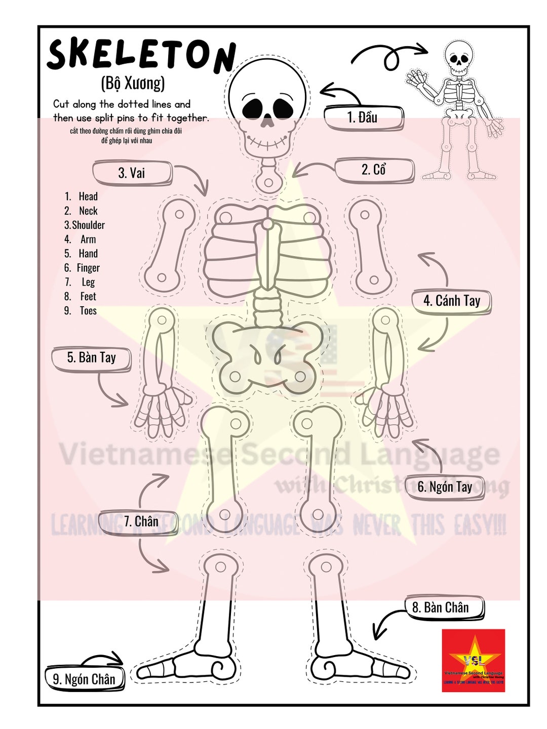 Learn and Make Your Own Skeleton for Halloween-vietnamese - Etsy