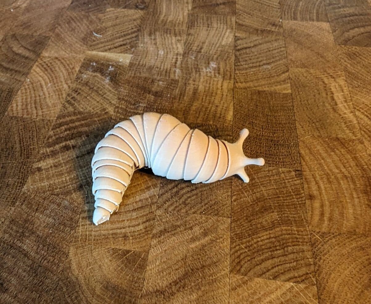 3D Printed Slug Fidget Small - Etsy