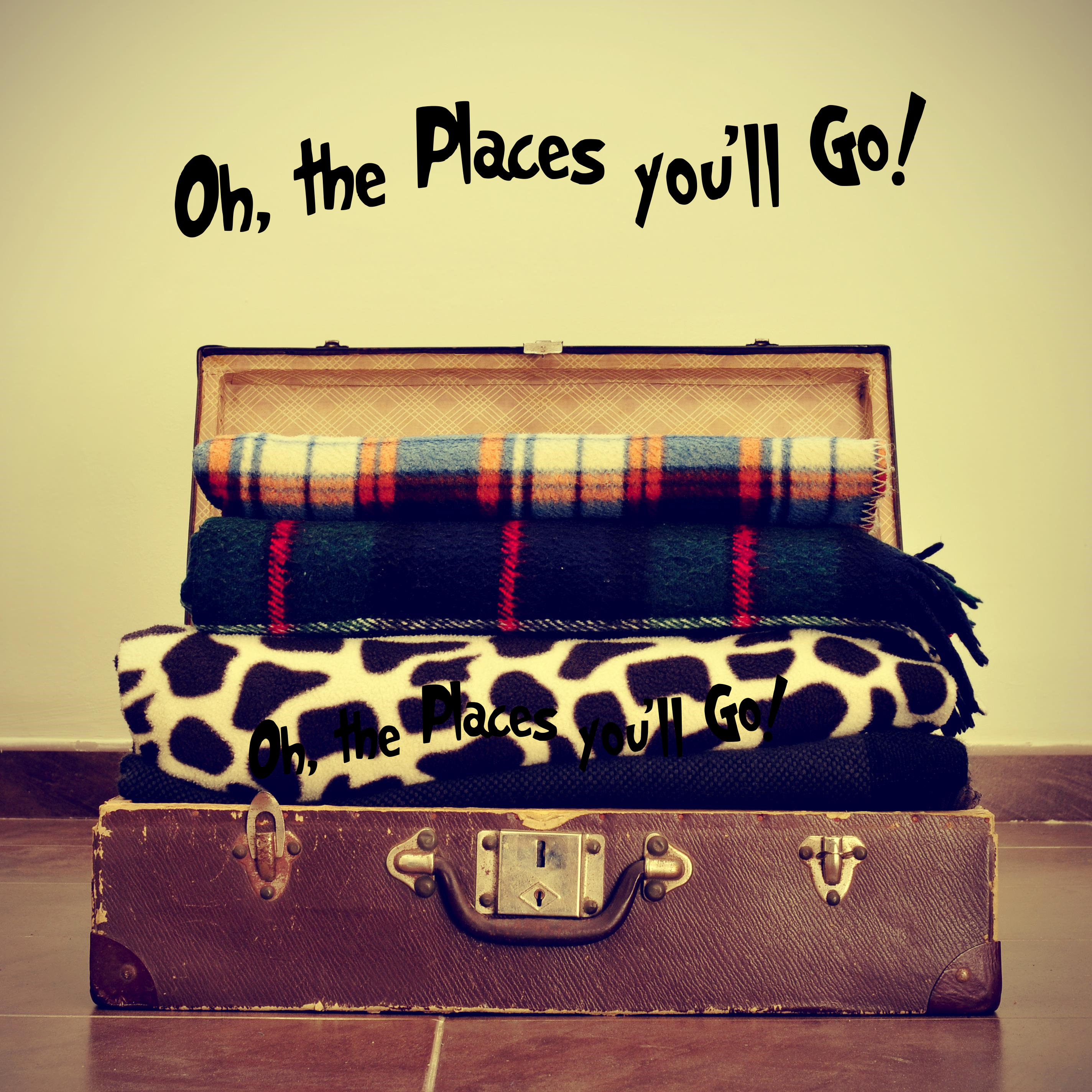Oh the Places You Will Go Wall Decal Teacher Classroom Sticker Student ...