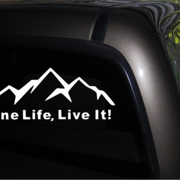 Life Vinyl Decal - Etsy