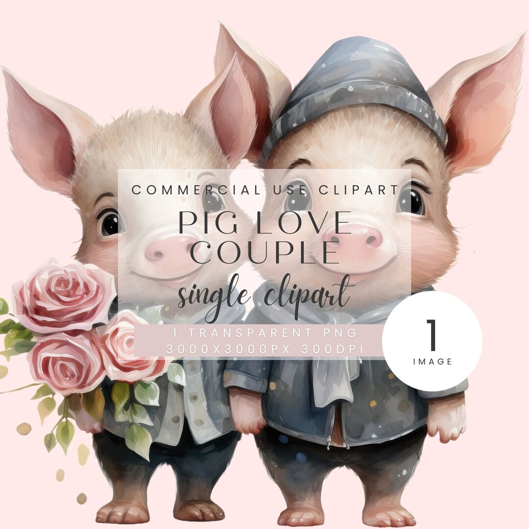 Cute Pig Love Couple Watercolor PNG Valentines Day Loving Pigs Clipart ...
