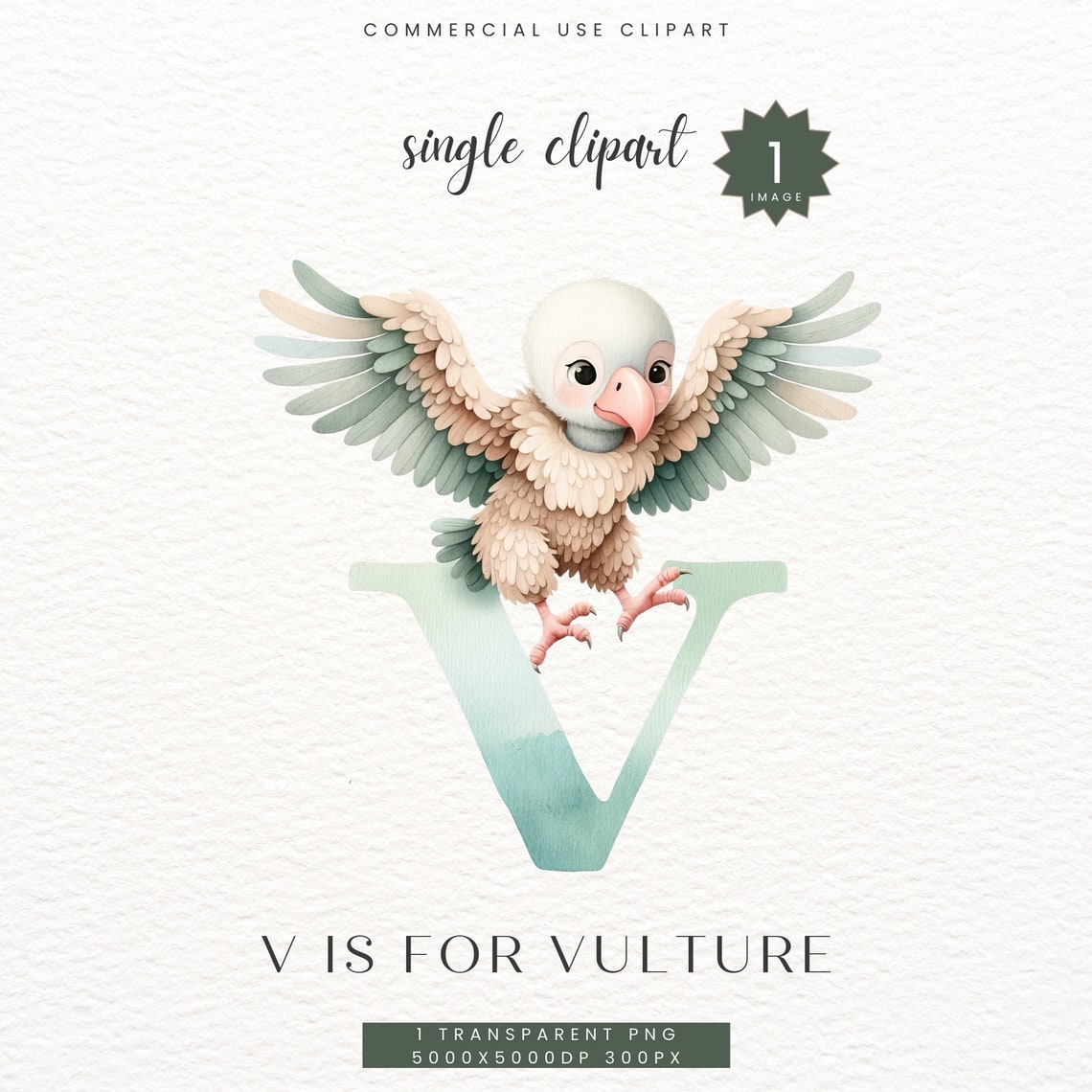 Vulture Alphabet Clipart, Baby Boy Girl Shower Gift, Nursery Child Room ...