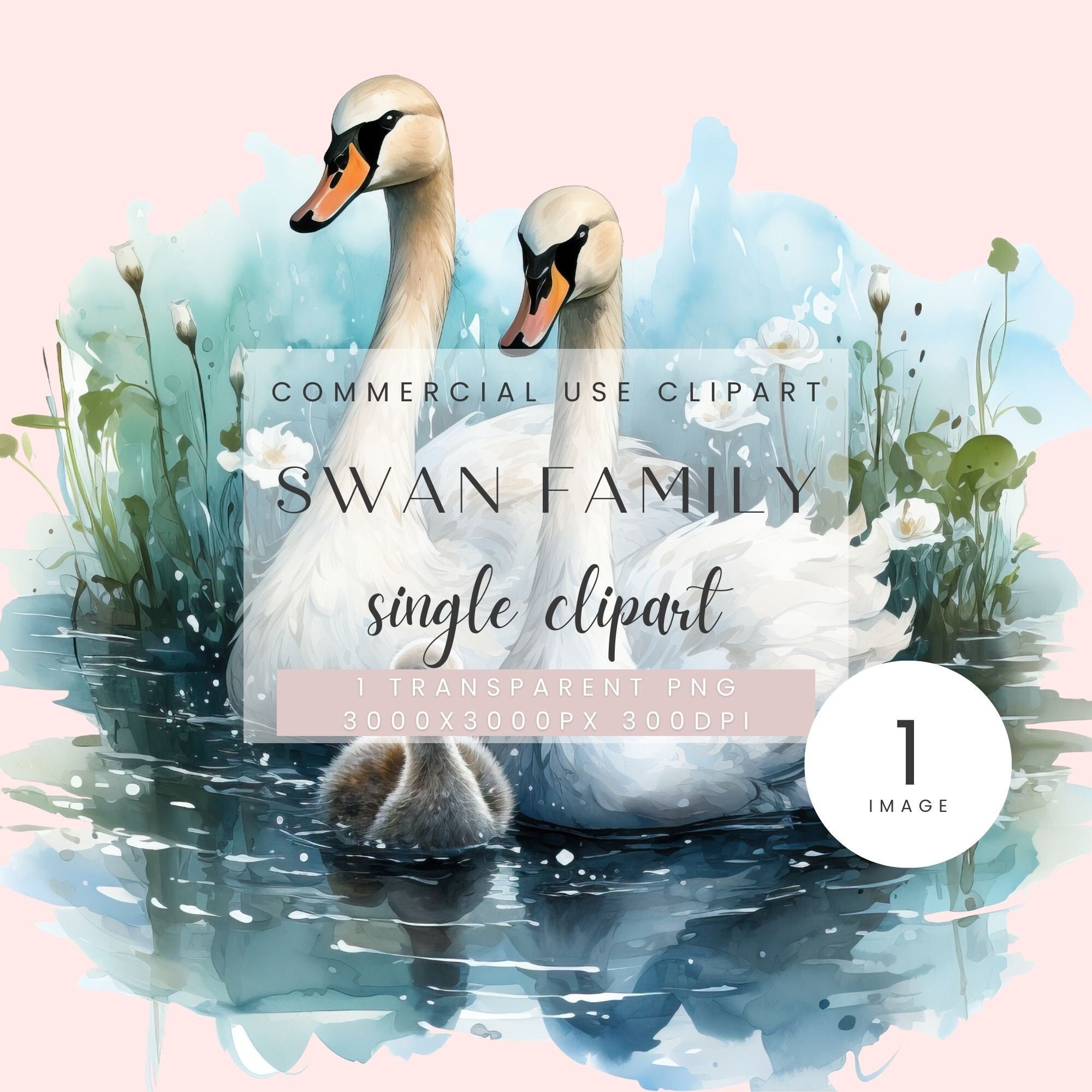 Swan Family PNG, Nursery Clipart, Swan Princess, Instant Download ...