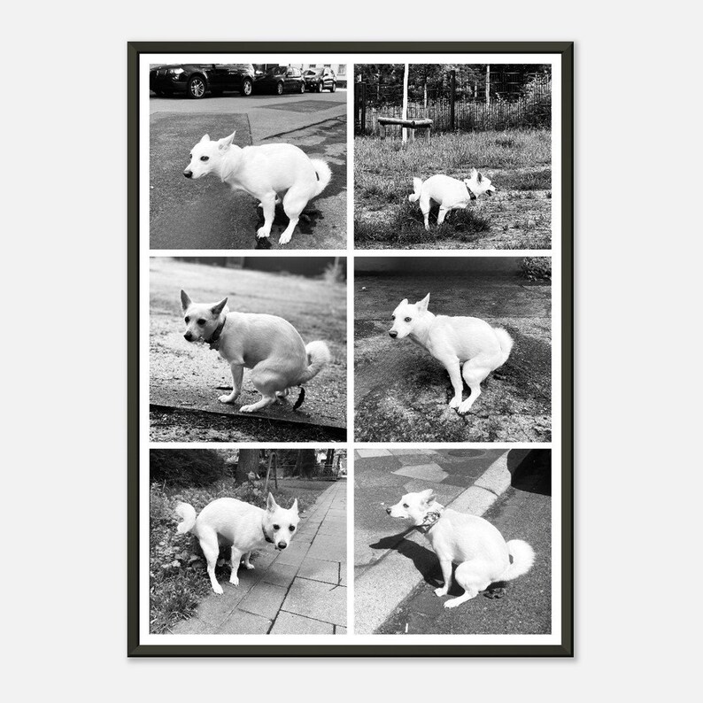 Customizable Dog Collage Poster 2x3 My Pooping Dog as a Wall Picture ...