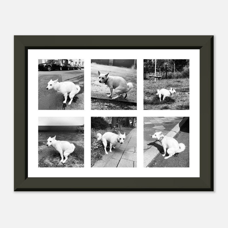 Customizable Dog Collage Poster 2x3 My Pooping Dog as a Wall Picture ...